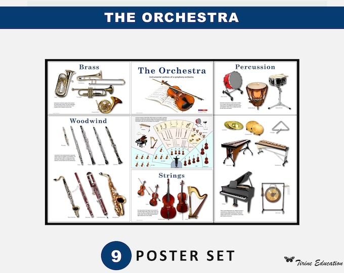 Real Photo Instrument Family Poster Set - Etsy