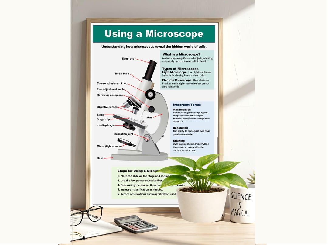 Using a Microscope Poster, Microscope Parts, Terms & Lab Skills, Middle ...