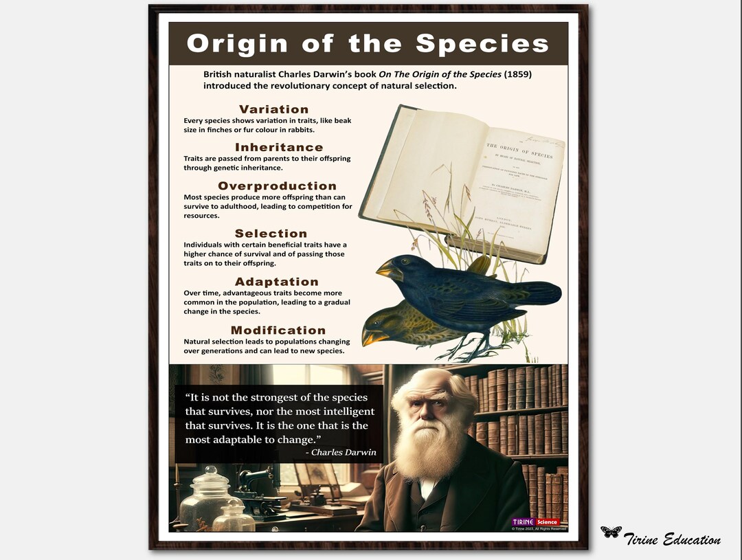 Charles Darwin, Poster, on Origin of the Species, Natural Selection ...