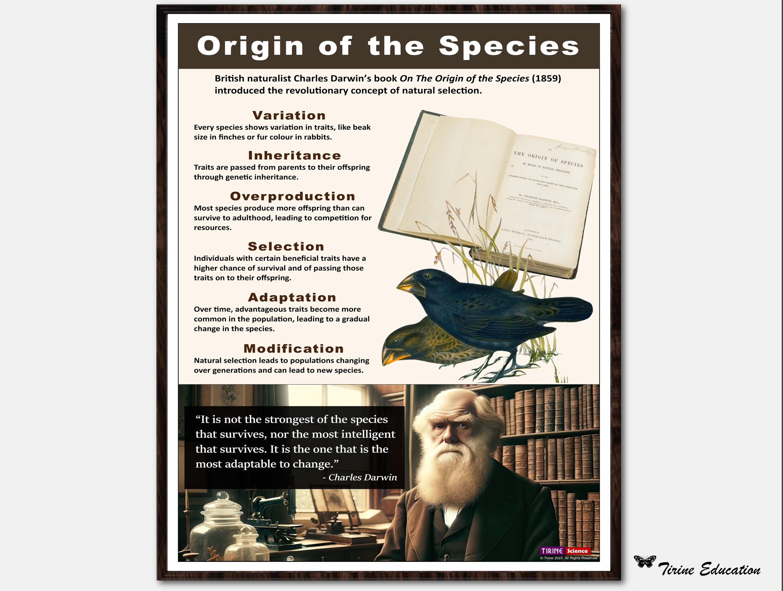 Charles Darwin, Poster, on Origin of the Species, Natural Selection ...