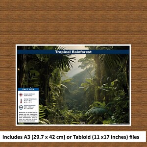 Terrestrial Biomes Classroom Display Set, Biology Posters, Middle and ...