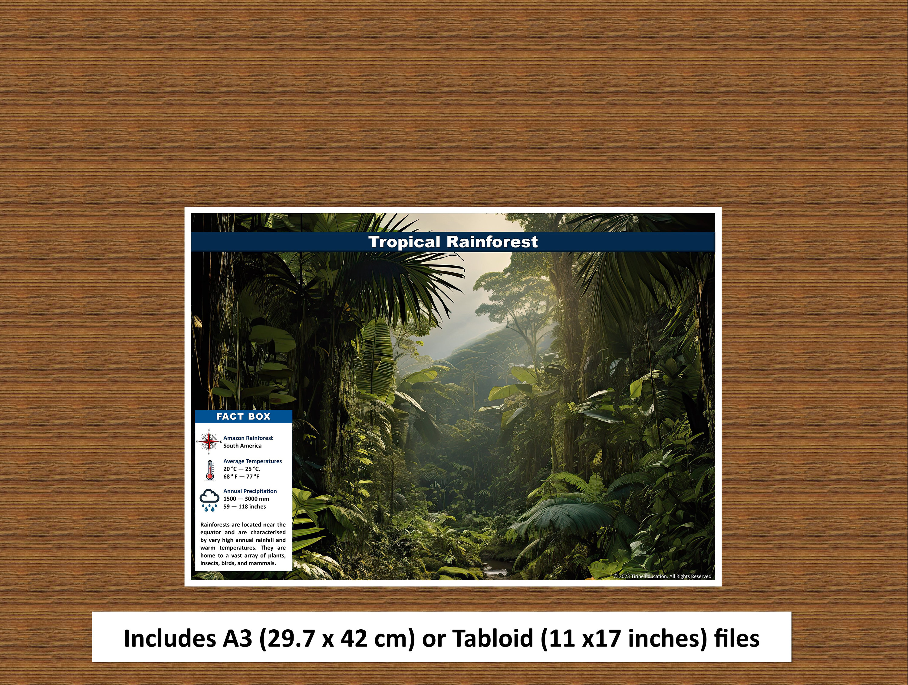 Terrestrial Biomes Classroom Display Set, Biology Posters, Middle and ...
