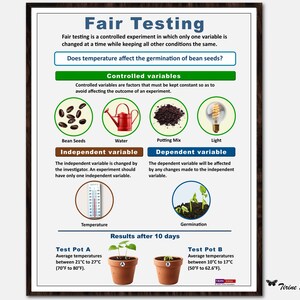 Fair Testing Poster, Biology, Chemistry, Science Skills, Classroom ...