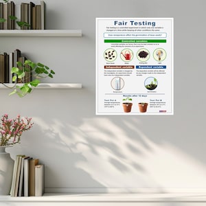 Fair Testing Poster, Biology, Chemistry, Science Skills, Classroom ...