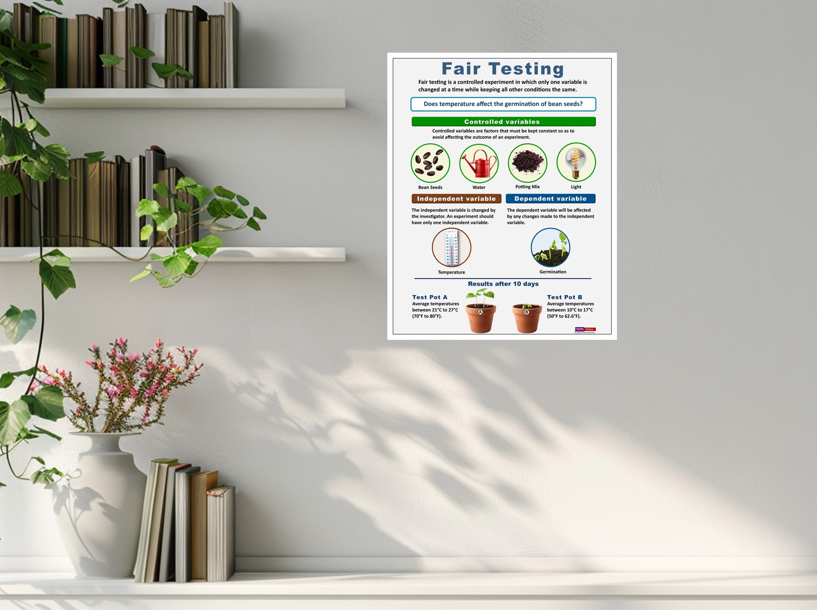 Fair Testing Poster, Biology, Chemistry, Science Skills, Classroom ...