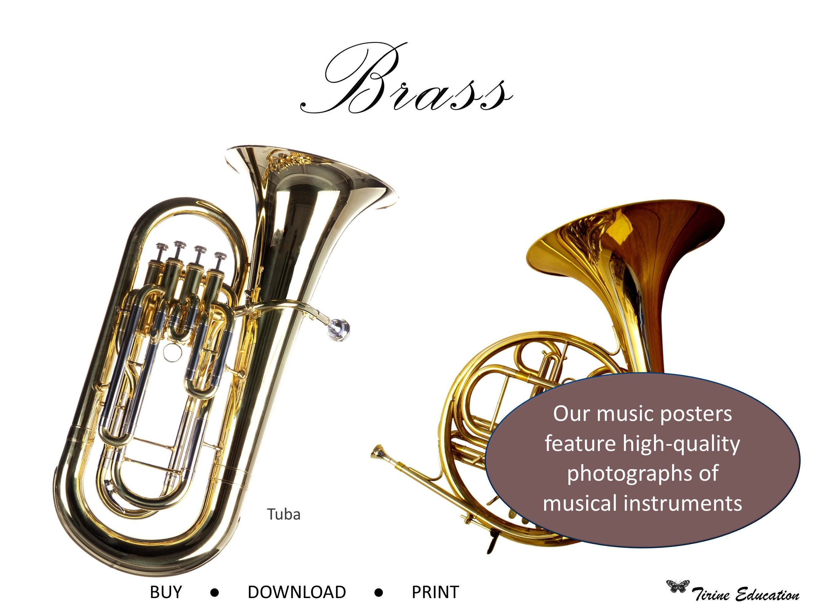 Brass Instruments Poster