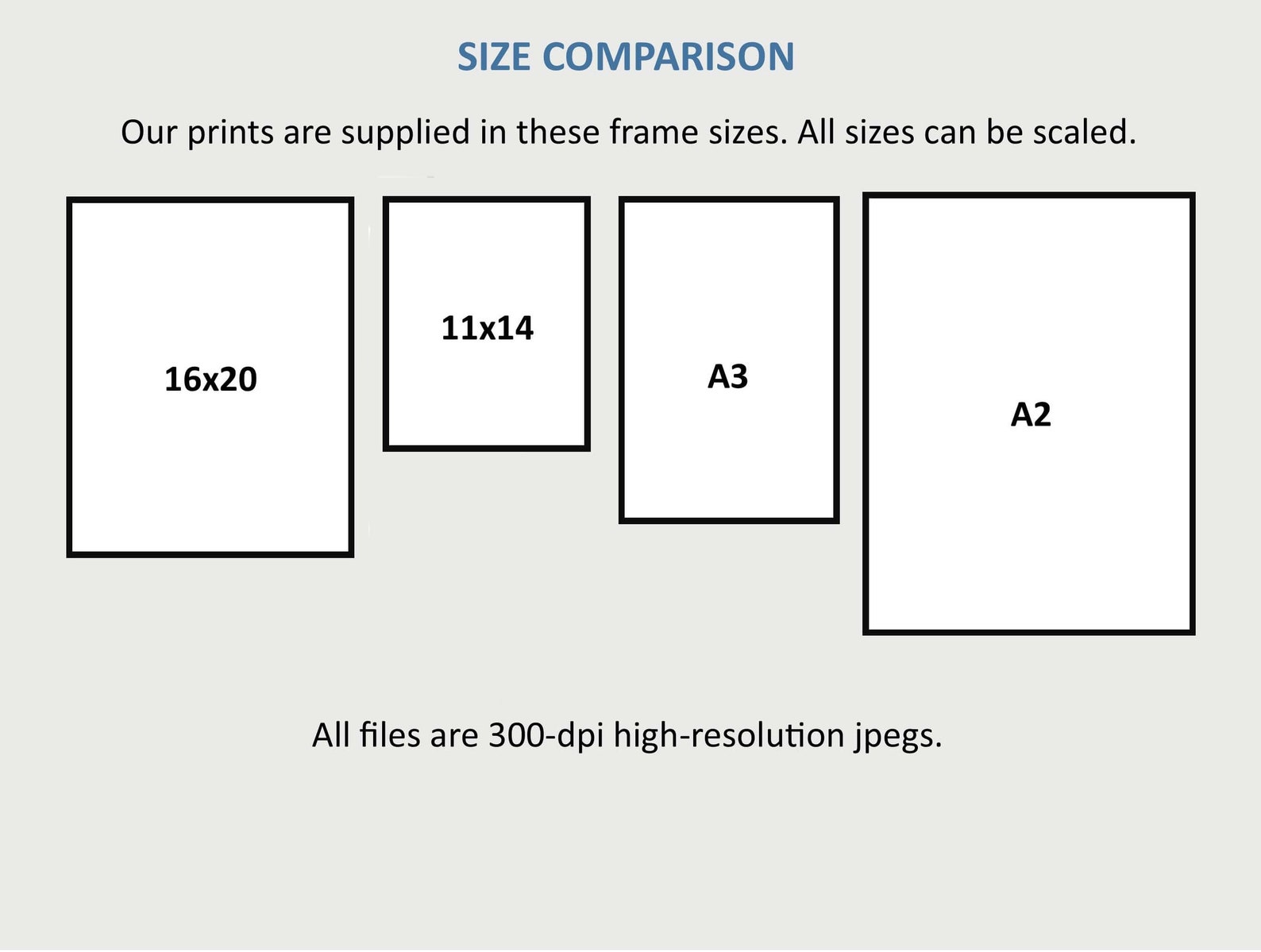 Famous Cell Biologists Poster Set, Biology Classroom, Science Classroom ...
