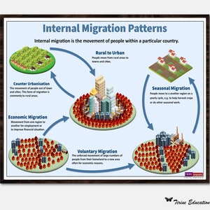 Internal Migration Poster, High School Geography, Population Studies ...