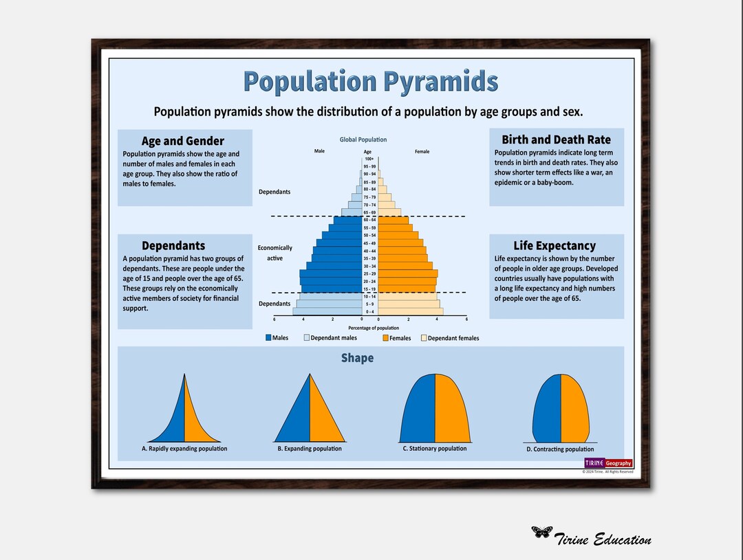 Population Pyramids Poster, High School Geography, Population Studies ...