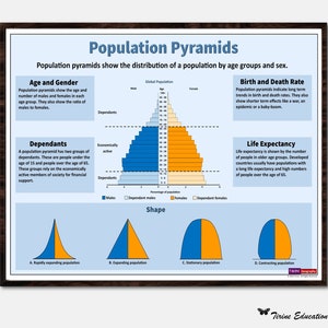 Population Pyramids Poster, High School Geography, Population Studies ...