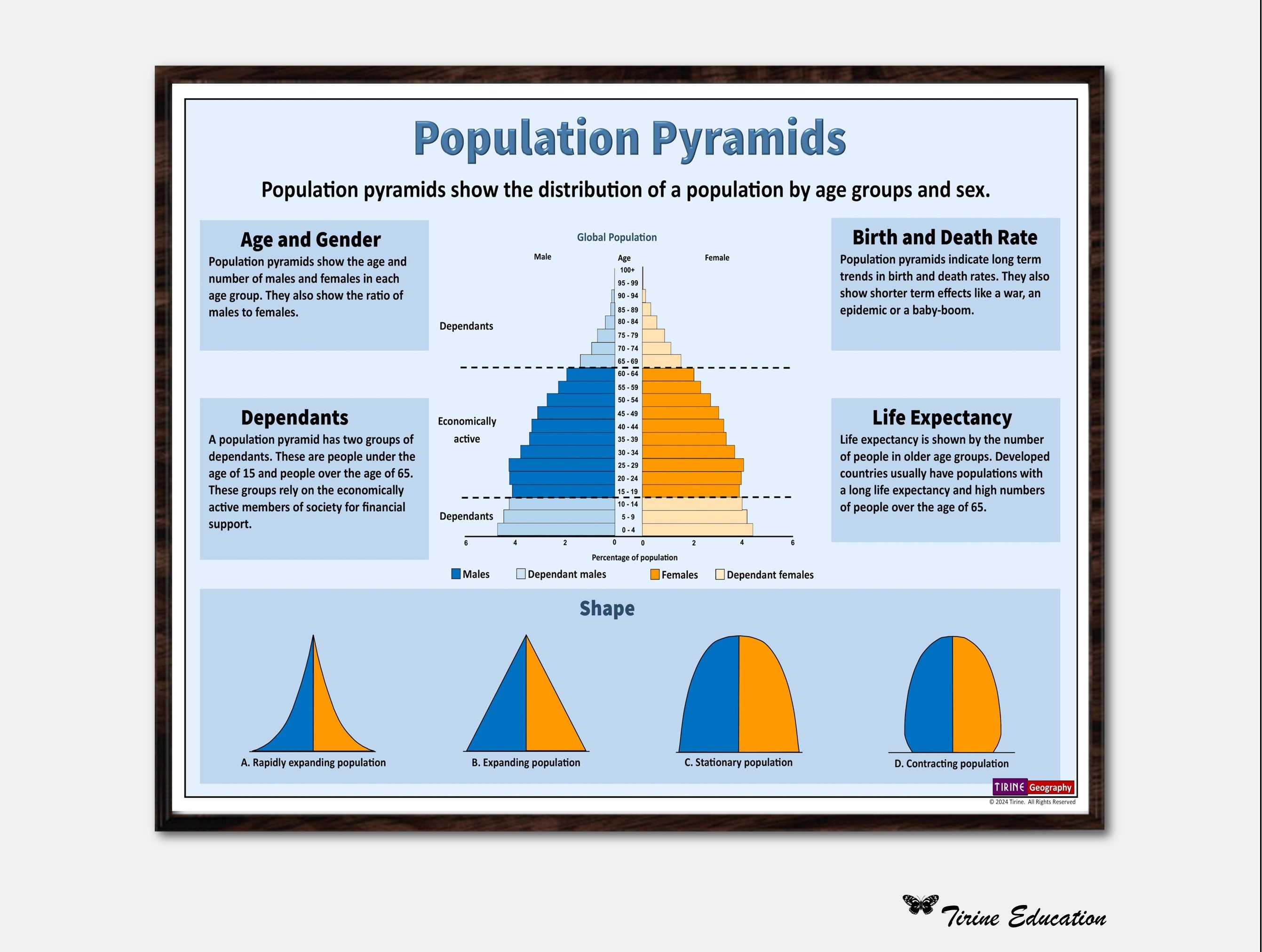 Population Pyramids Poster, High School Geography, Population Studies ...