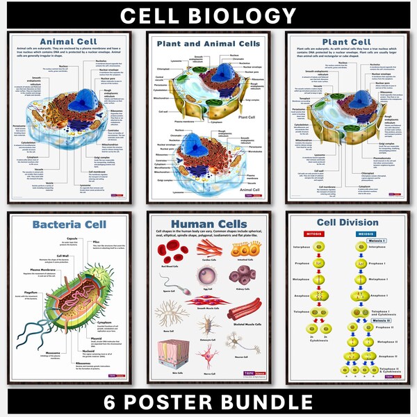 Biology Decor - Etsy