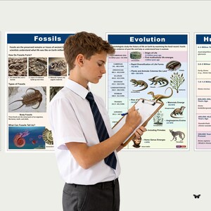 Evolution of Life Science Posters, Biology, Printable Middle & High ...
