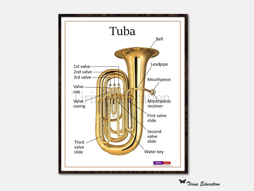 Parts of a Tuba Music Classroom Poster, Music Education, Printable ...