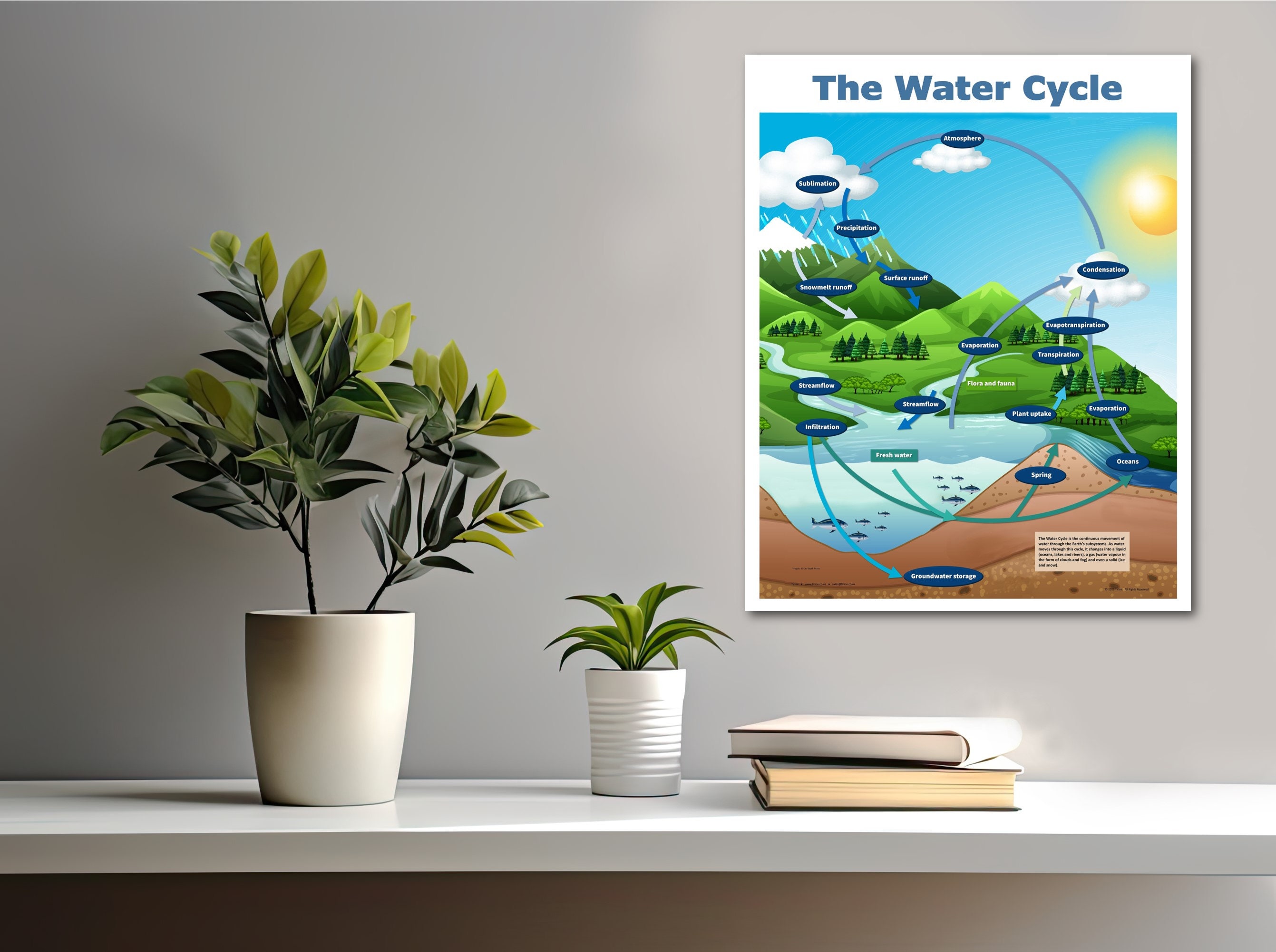 The Water Cycle Science Poster, Earth Science Poster, Educational ...