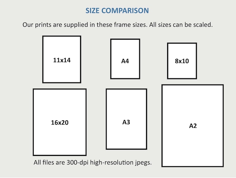 Human Biology Science Poster, Alimentary Canal, Human Digestive System ...