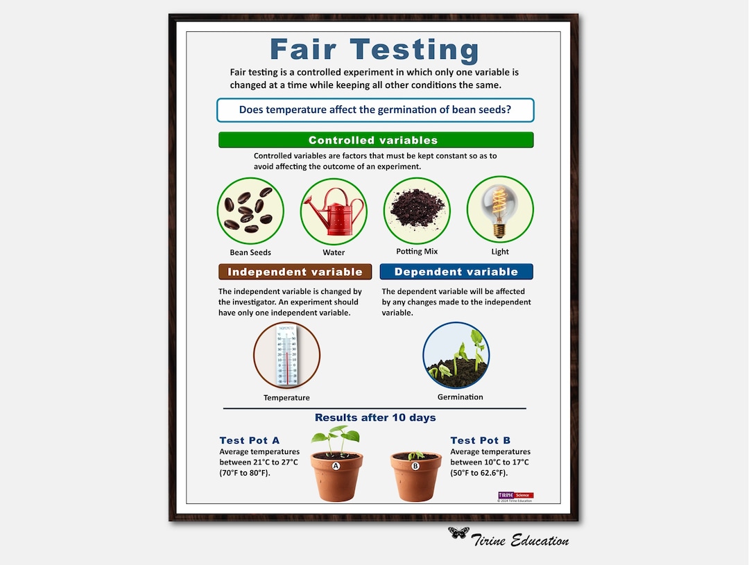 Fair Testing Poster, Biology, Chemistry, Science Skills, Classroom ...