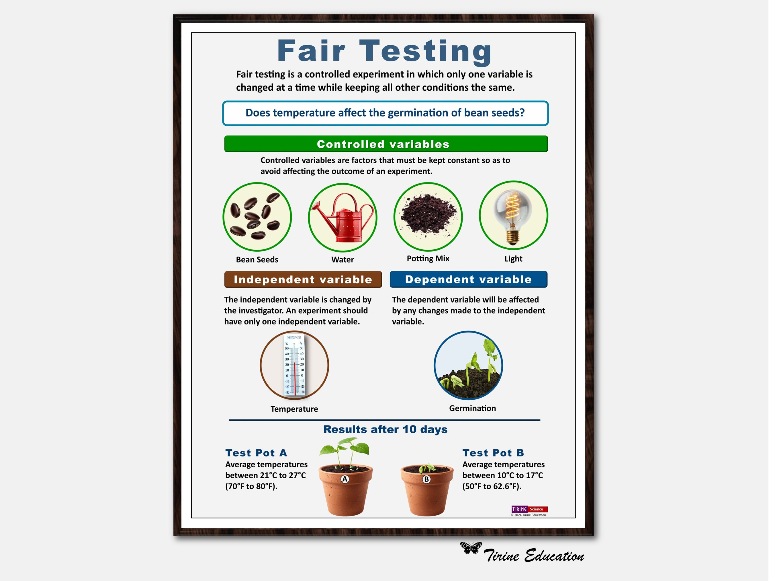 Fair Testing Poster, Biology, Chemistry, Science Skills, Classroom ...