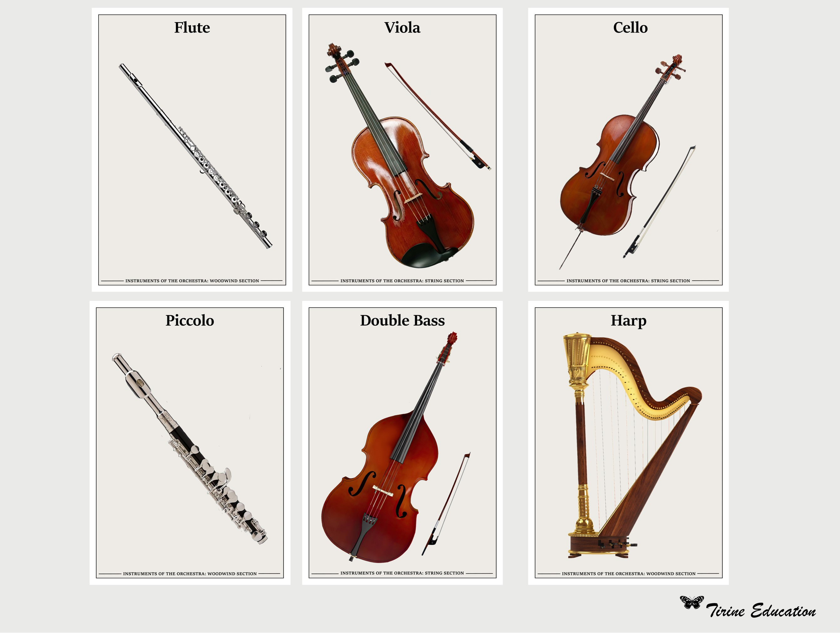 Musical Instruments in the Orchestra 30 Poster Set, Music Poster Bundle ...