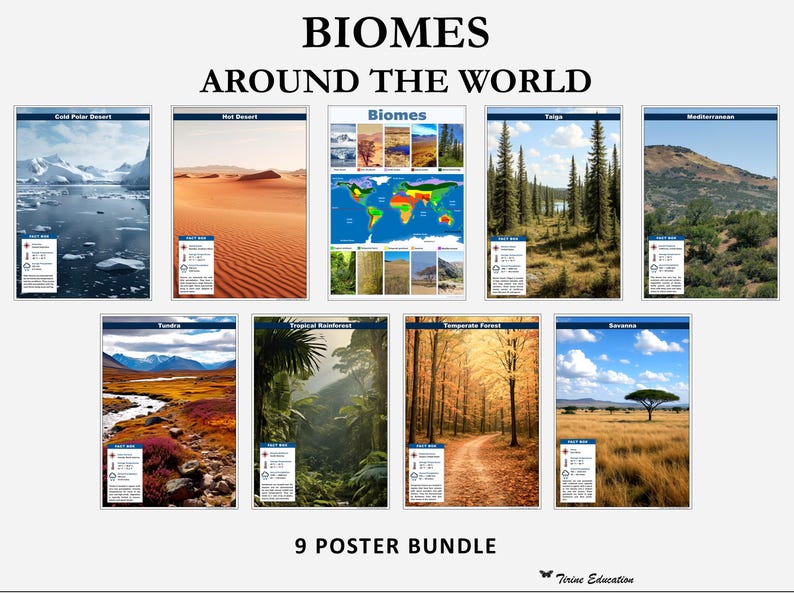 Biomes Poster Set: Printable Geography Decor for Middle & High School ...