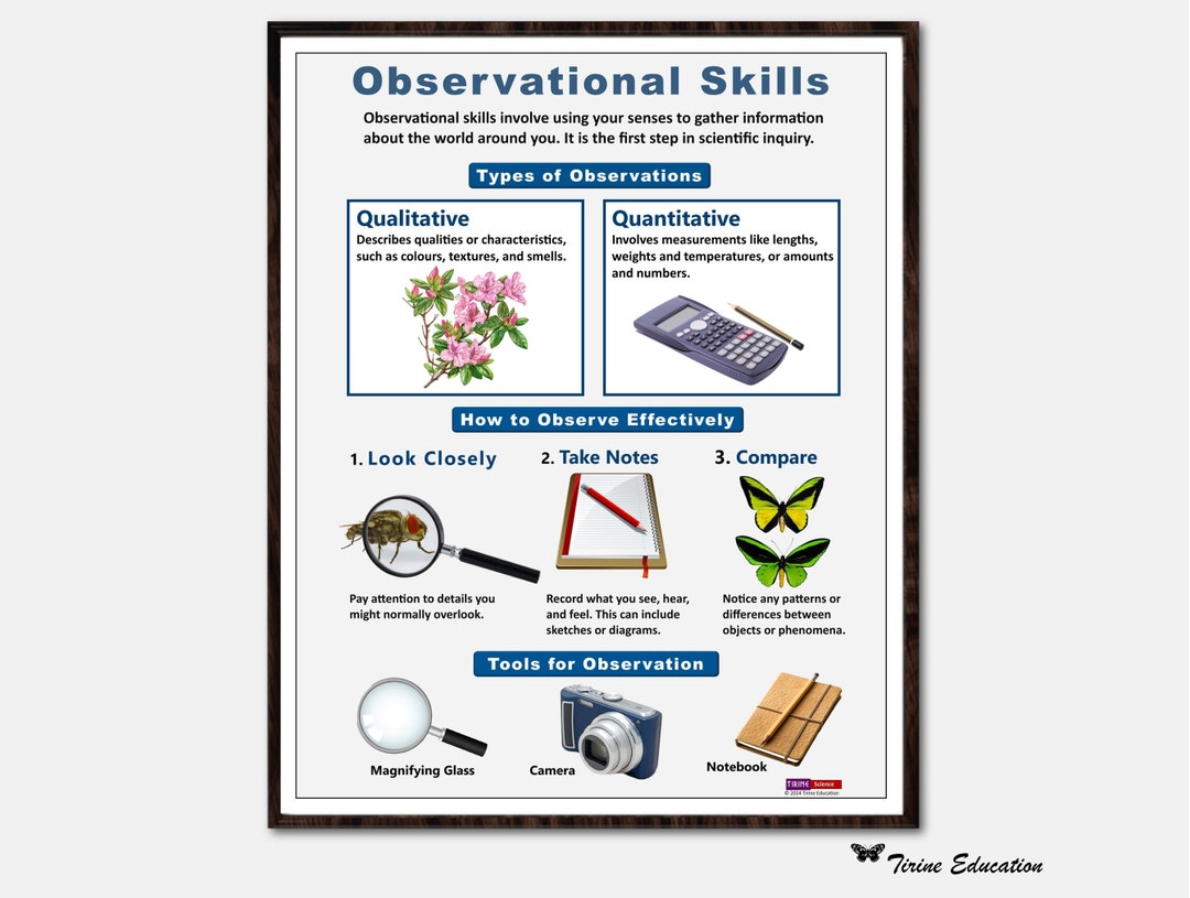 Observational Skills Poster, Biology, Science Inquiry Method, Classroom ...