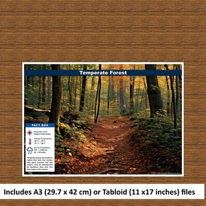 Terrestrial Biomes Classroom Display Set, Biology Posters, Middle and ...