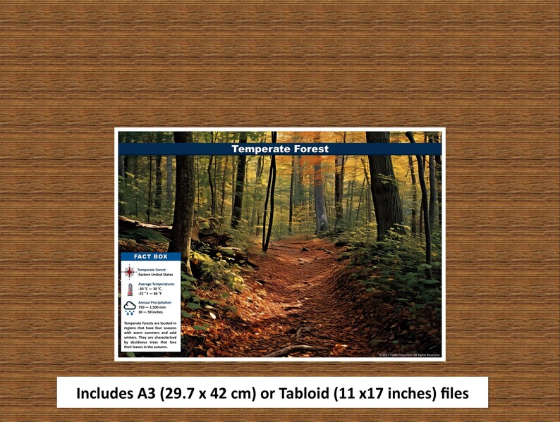 Terrestrial Biomes Classroom Display Set, Biology Posters, Middle and ...