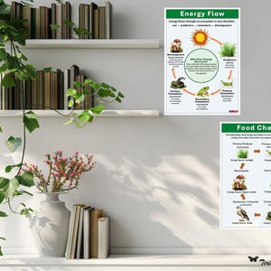 Ecosystems Environmental Science Poster Set, Middle School or High ...