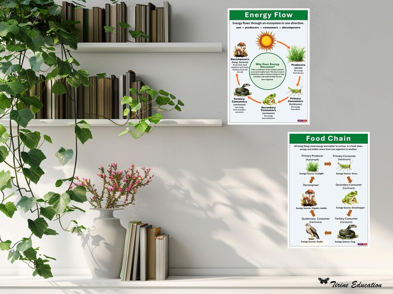 Ecosystems Science Classroom Posters, Printable Middle & High School ...