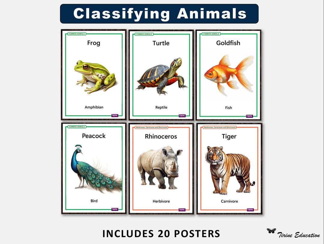 Classifying Common Animals, Junior Science, Classroom Posters, Ages 5-6 ...
