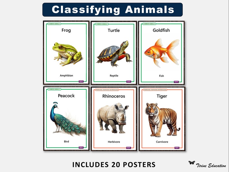 Classifying Common Animals, Junior Science, Classroom Posters, Ages 5-6 ...