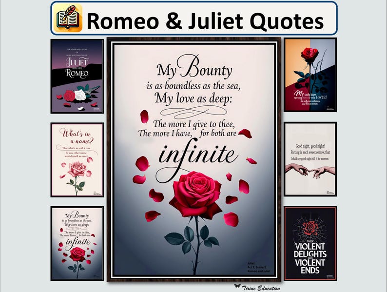 Romeo and Juliet Quotes Posters, English Classroom, Grade 8-11 ...