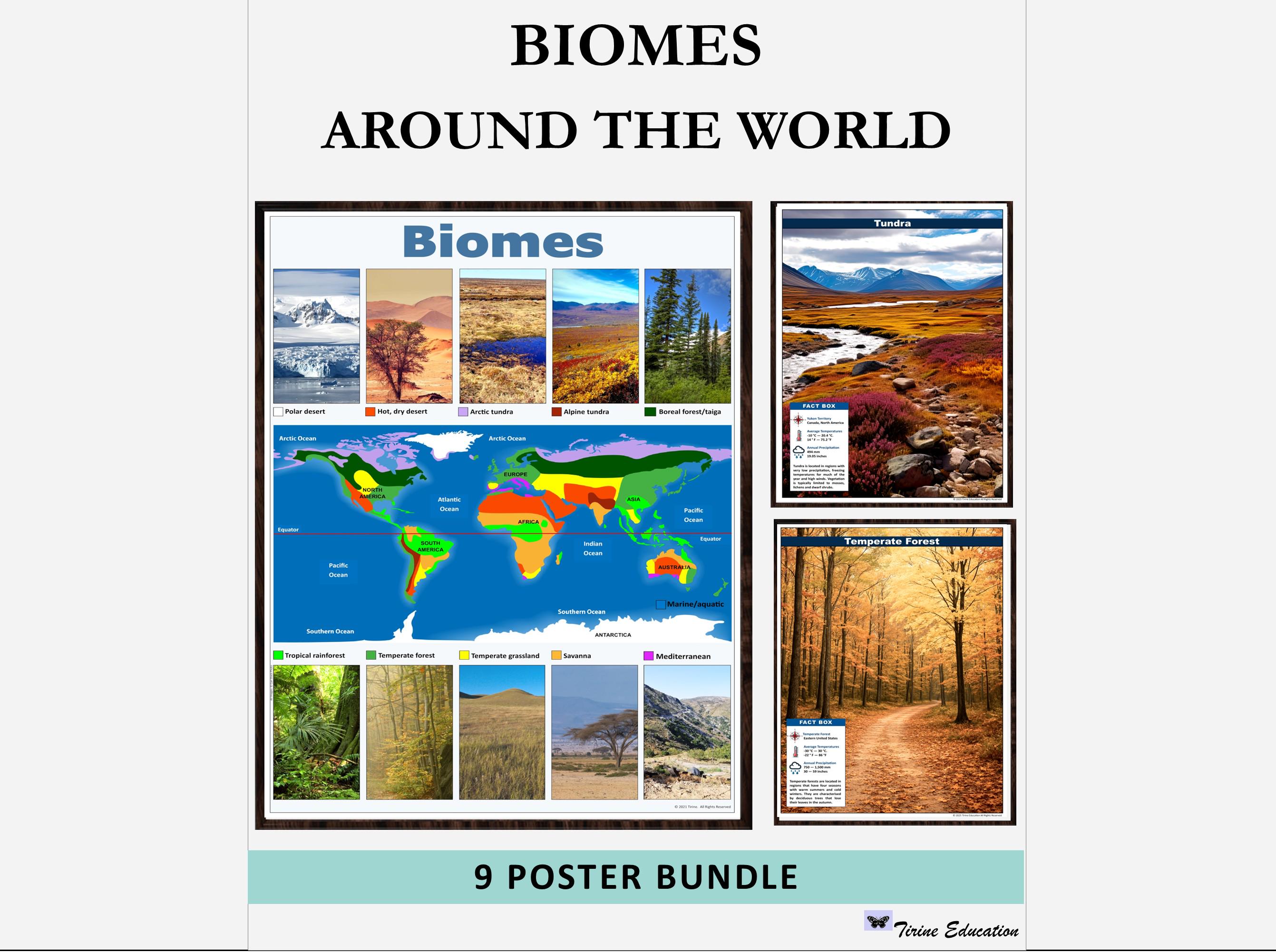 Biomes Poster Set: Printable Geography Decor for Middle & High School ...