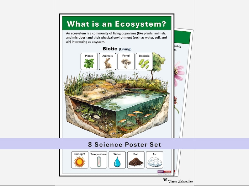 Ecosystems Science Classroom Posters, Printable Middle & High School ...
