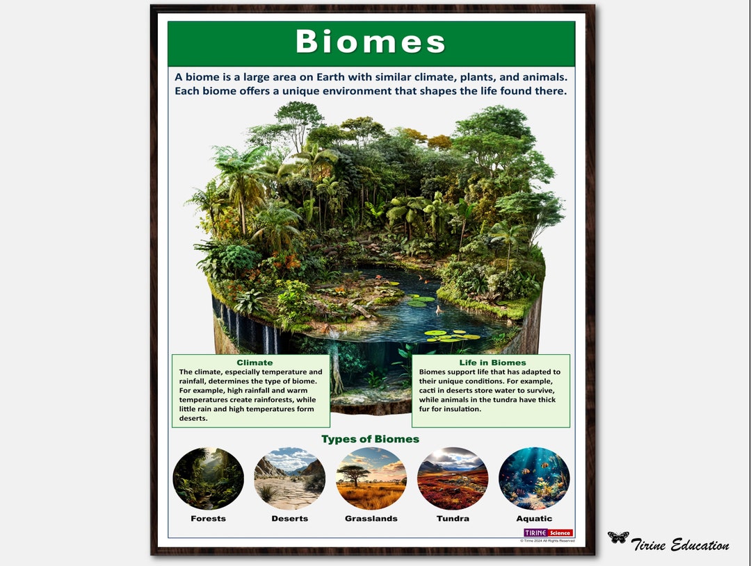 Environmental Science Poster, Biomes, Middle School, Grades 6-8 ...