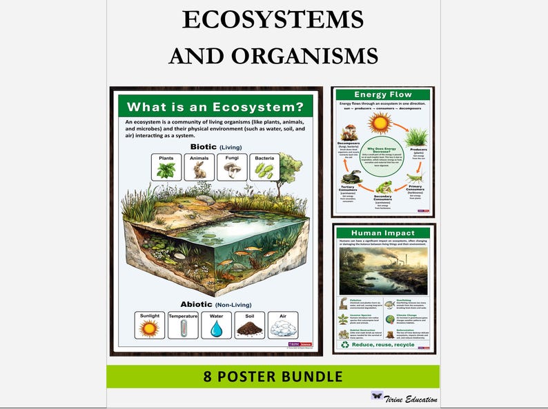 Ecosystems Science Posters: Printable Middle & High School Science ...