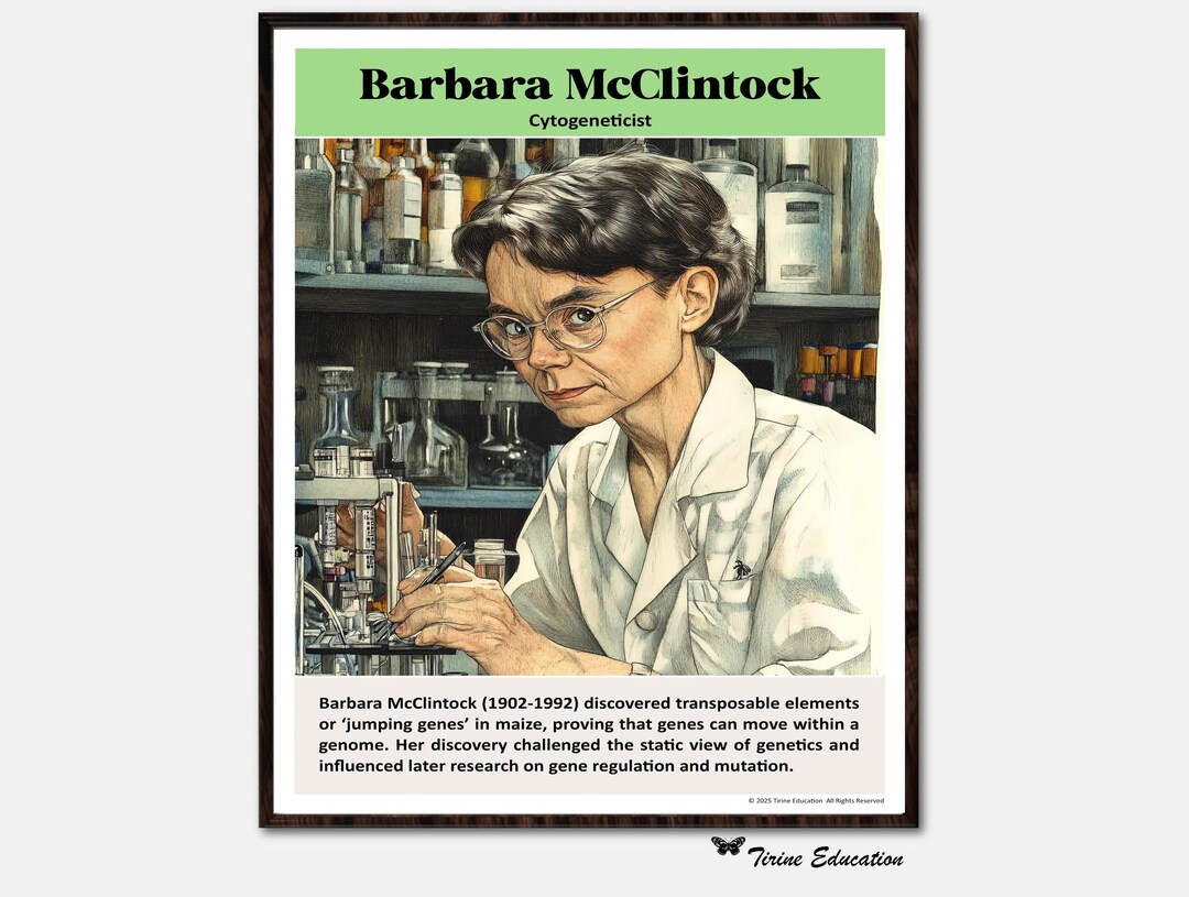 Barbara Mcclintock Classroom Poster for Science Biology Classroom Decor ...