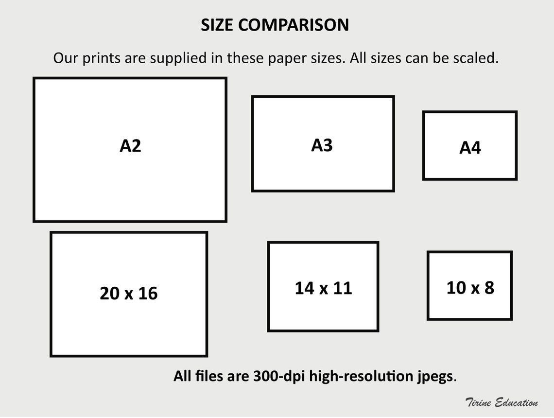 Weather Science Poster Bundle, Weather, Earth and Space Science, Junior ...