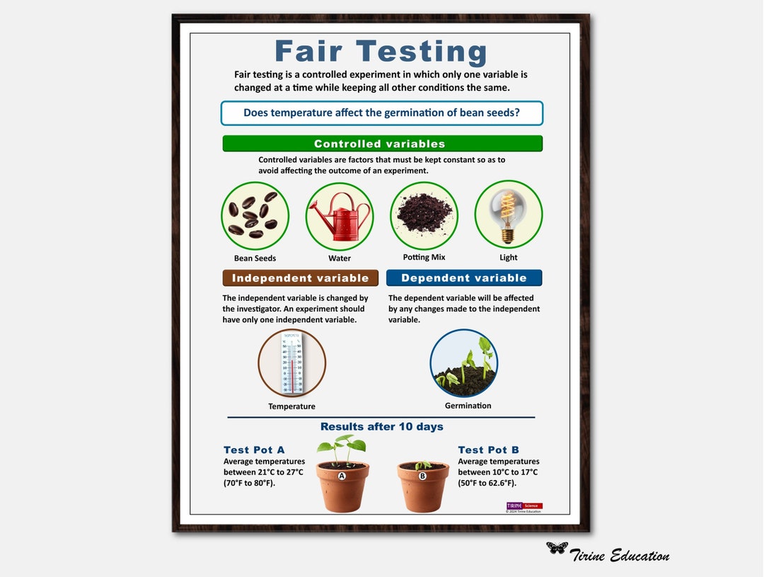 Fair Testing Poster, Biology, Science Wall Art, Classroom Poster ...