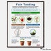 Fair Testing Poster, Biology, Science Wall Art, Classroom Poster ...