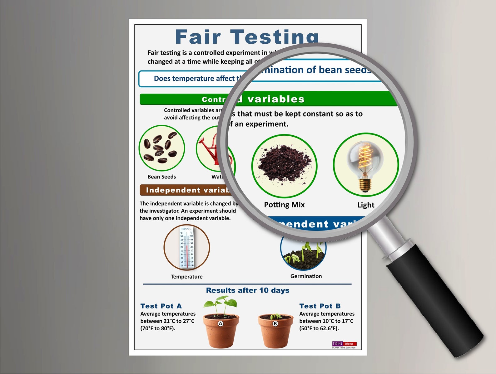 Fair Testing Poster, Biology, Chemistry, Science Skills, Classroom ...