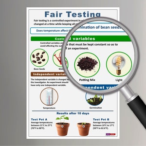 Fair Testing Poster, Biology, Chemistry, Science Skills, Classroom ...