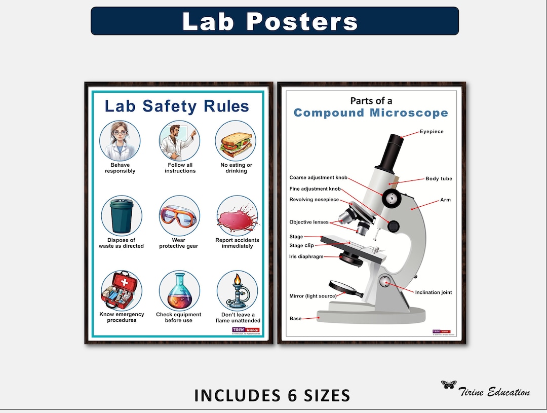 Lab Safety, Compound Microscope, Lab Safety Rules, Science Poster, Teaching Poster, Educational ...