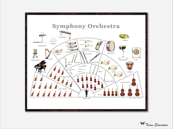 Orchestra Layout