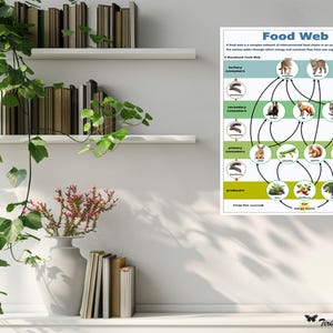Food Web Poster Set, Biology Poster, High School Science, Food Chain ...