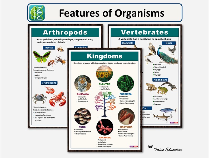 Biology Poster, Science Poster, Printable, Digital, Features of ...