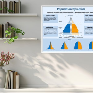 Population Pyramids Poster: Printable High School Geography Classroom ...