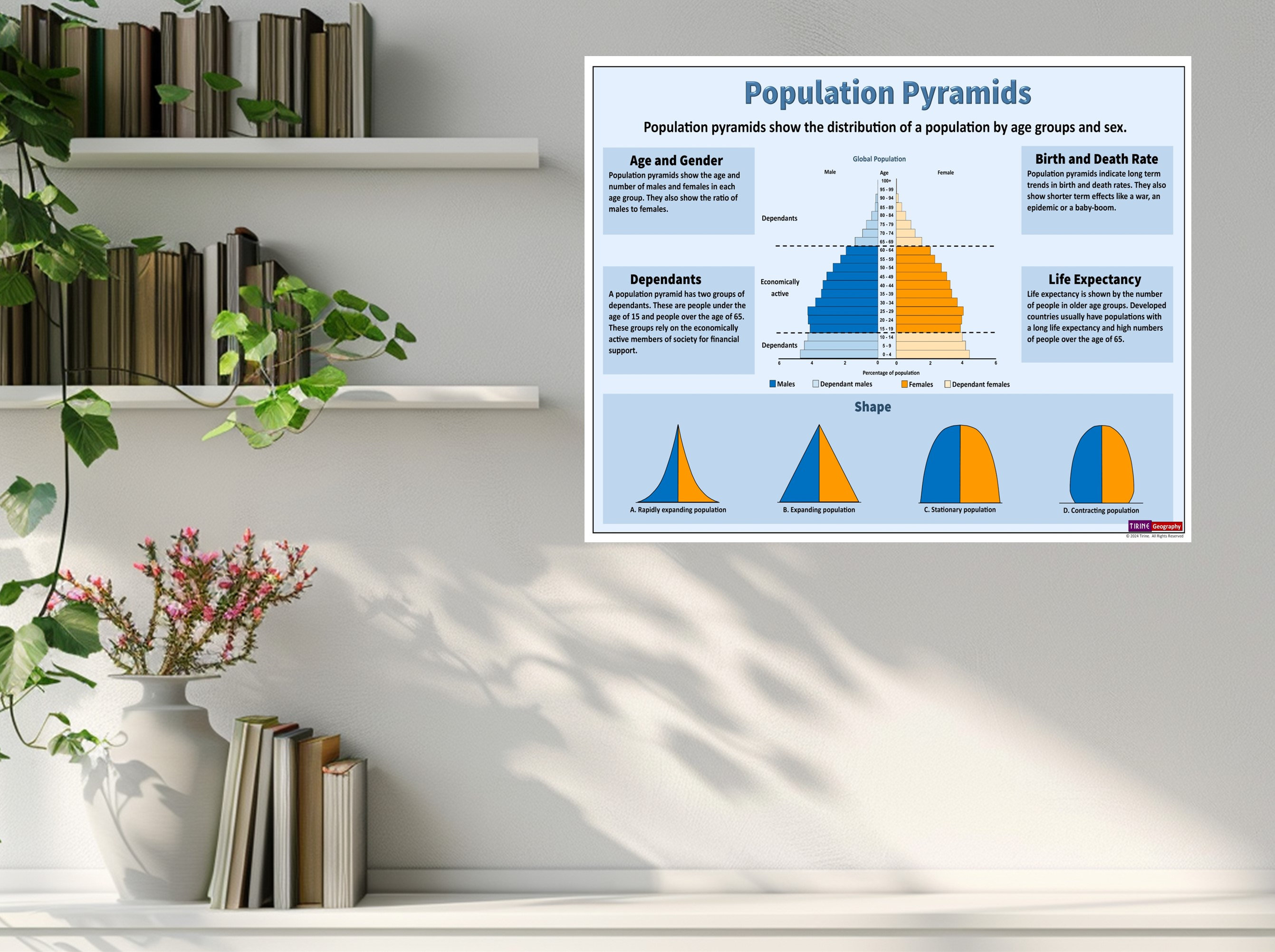 Population Pyramids Poster, High School Geography, Population Studies ...