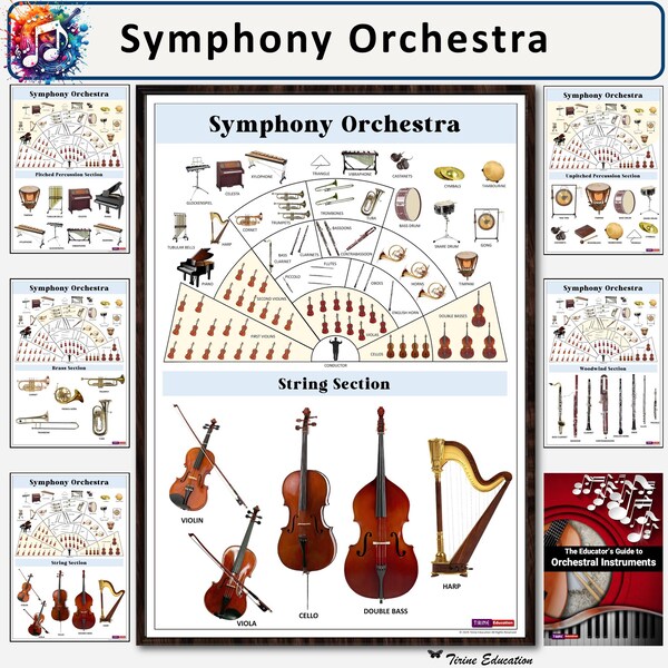 Music Classroom Decor - Etsy