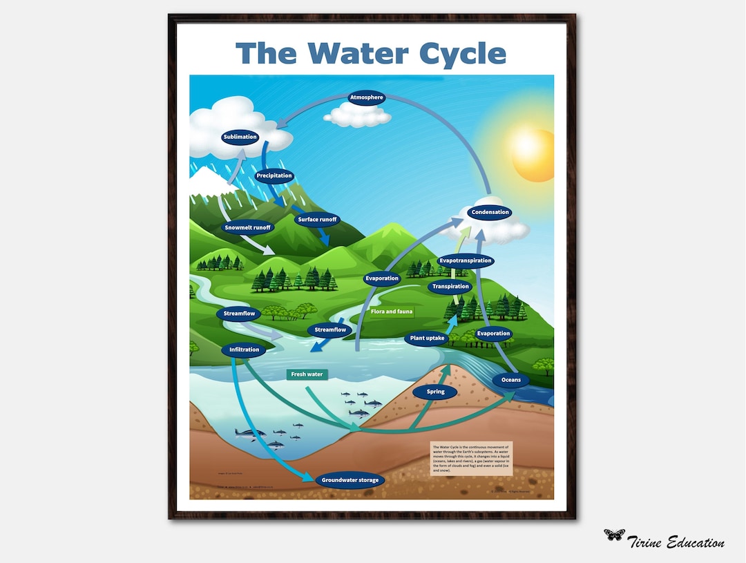 The Water Cycle Science Poster, Earth Science Poster, Educational ...